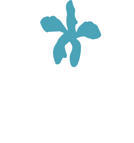 CATALEYA
